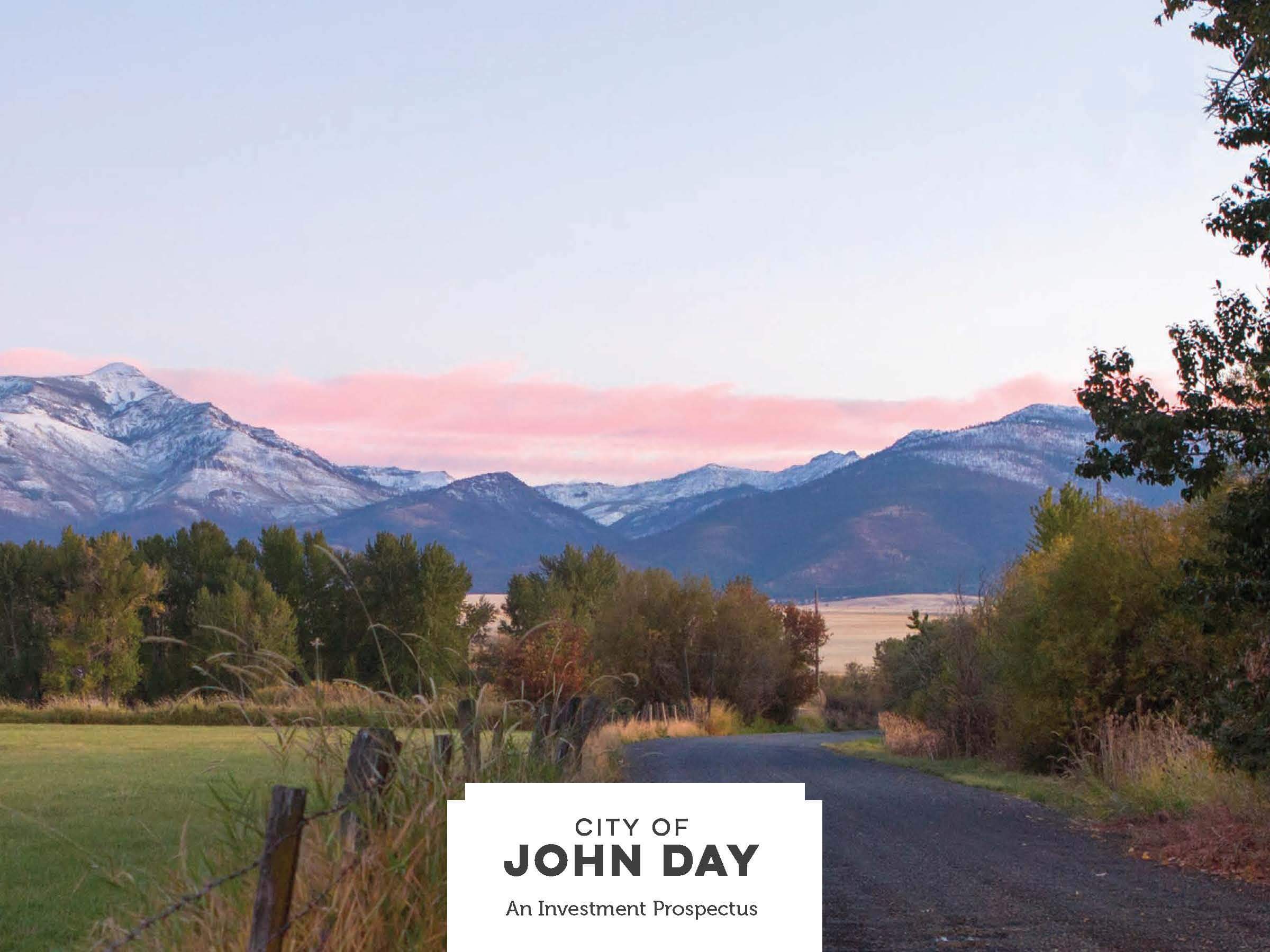 Innovation in Economic Development: A Community Investment Strategy for ...